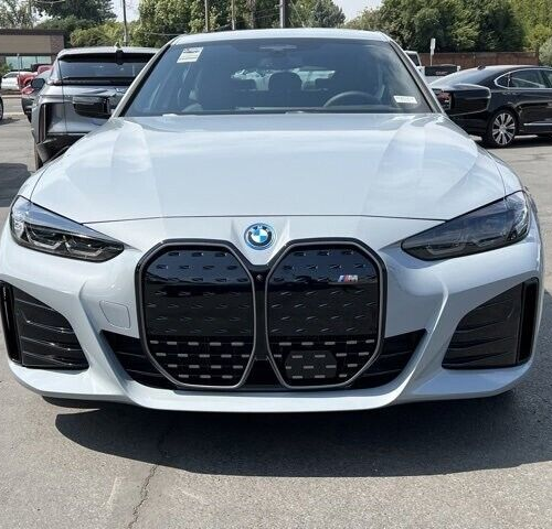 BMW OEM G26 i4 M Sport Shadow-line Gloss Black Front Grille New ...